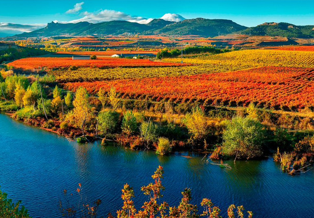 Rutas en coche: Disfruta de lo mejor de La Rioja | Prisma Renting